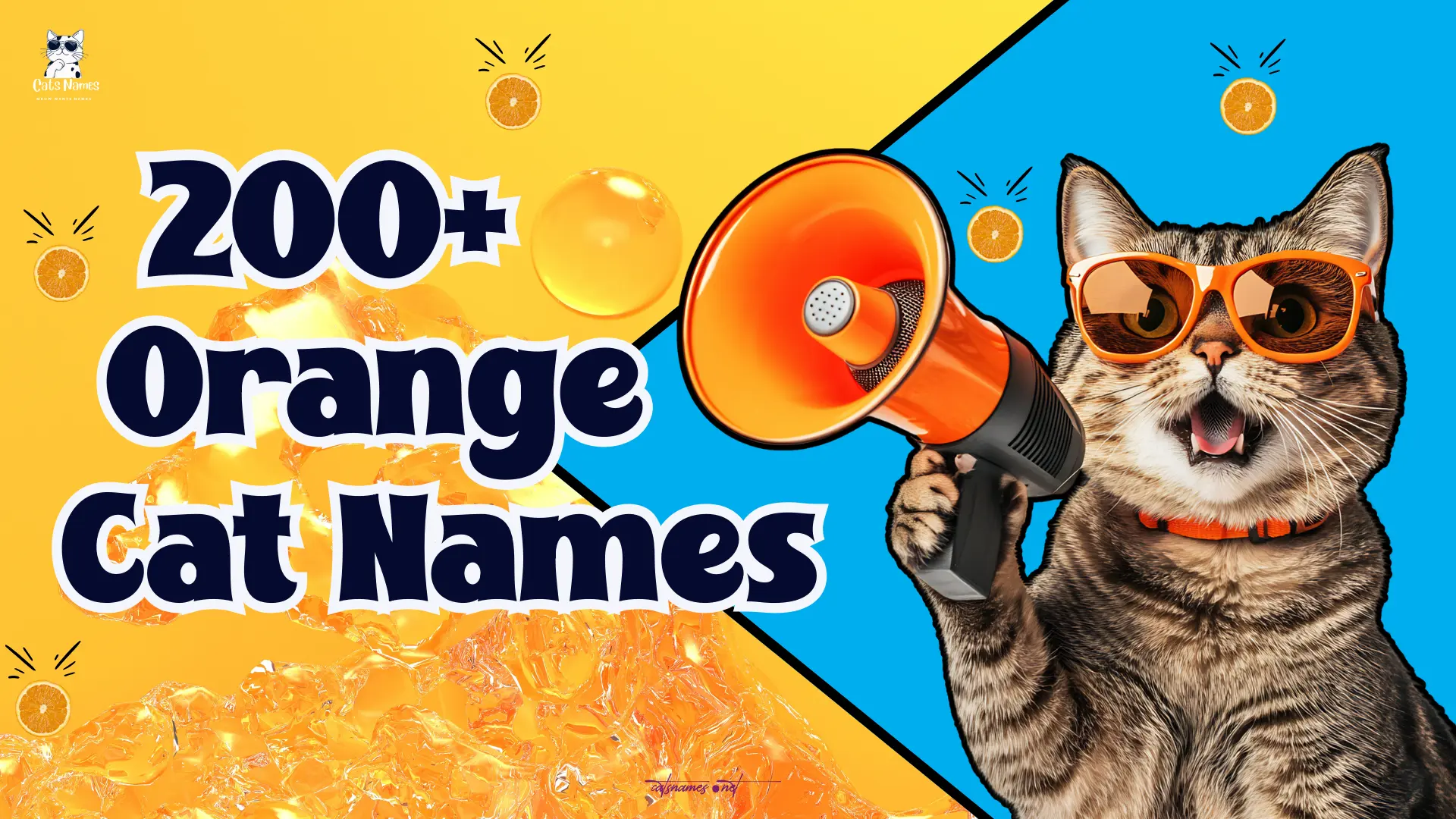 🐱 200+ Orange Cat Names: Perfect Ideas for Your Ginger Feline Friend