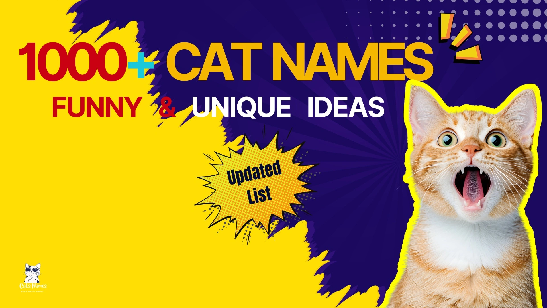 🐱 1000+ Best Cat Names 2025 | Cute, Funny & Unique Picks!